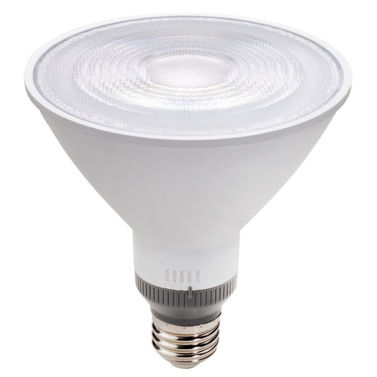 Southwire 120 Watt Equivalent PAR38 E26/Medium (Standard) Dimmable 5000K LED Bulb | Wayfair